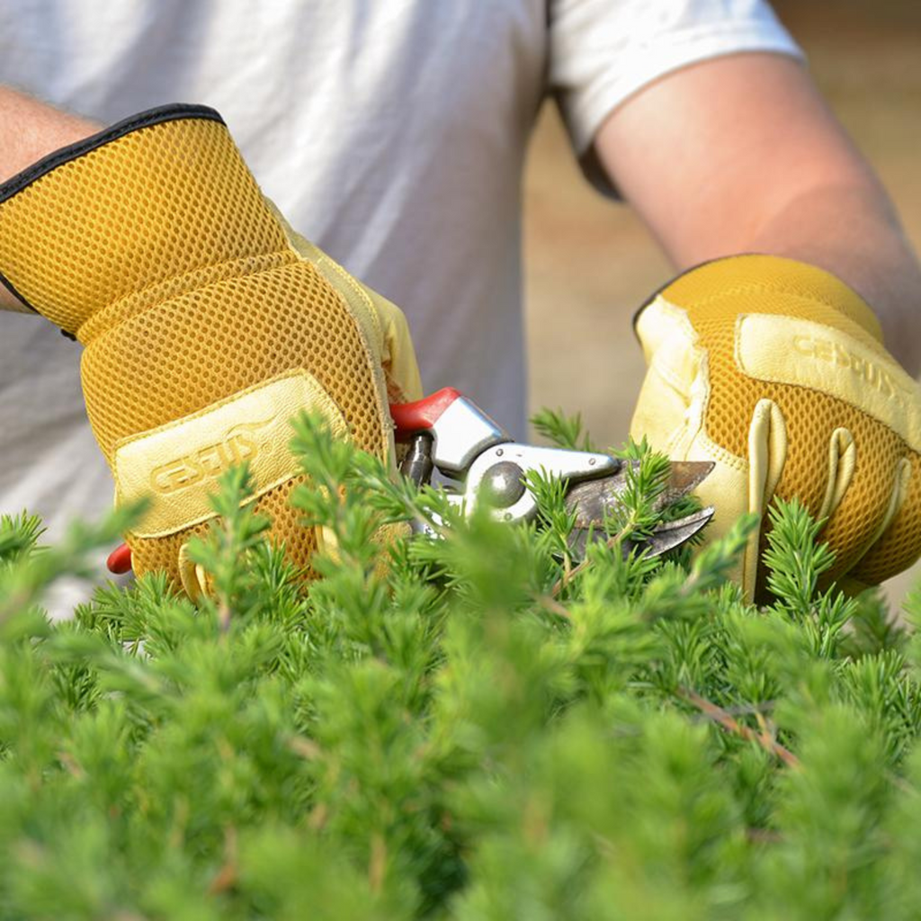 Leather Work Gloves | Cestus Armored Gloves