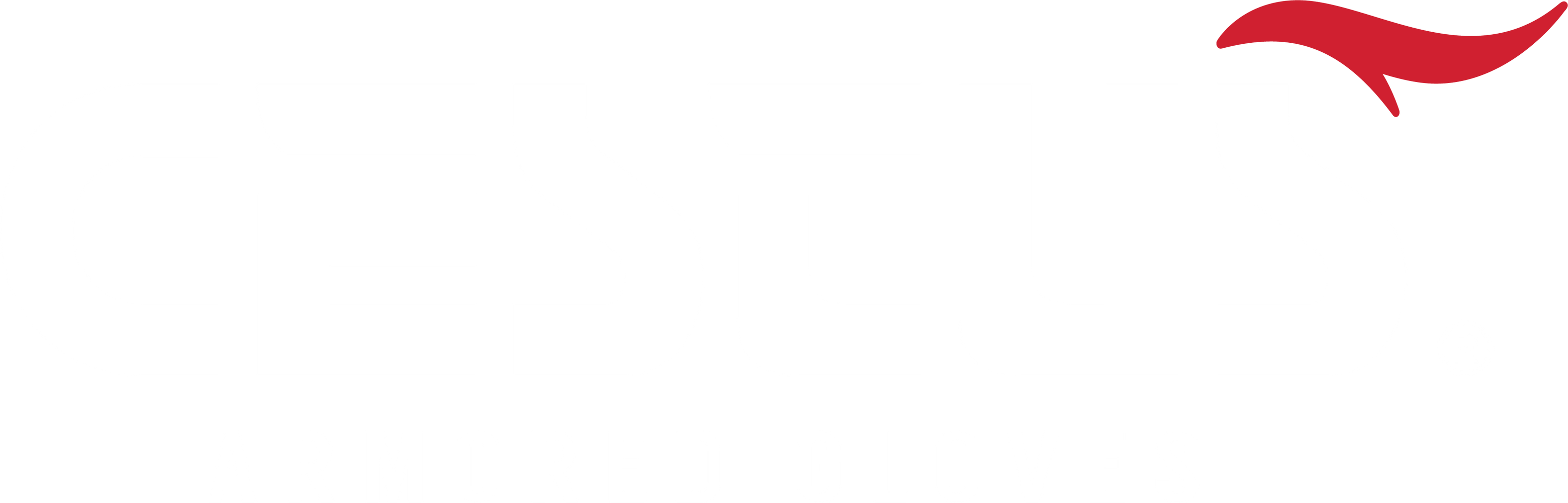 Cestus® - Safety Work Gloves